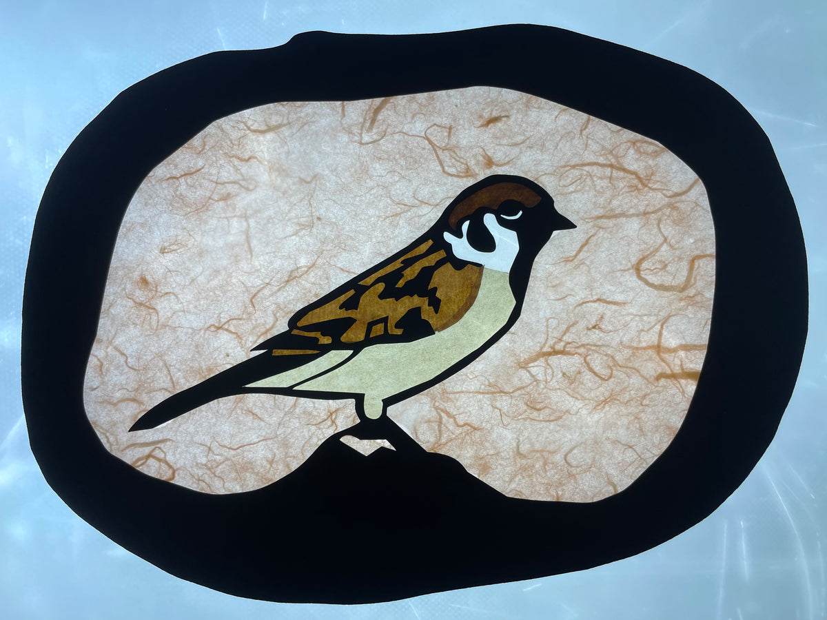 Feldsperling / Vogel / Waldorf / Spatz / transparent / Fensterbild / F ...